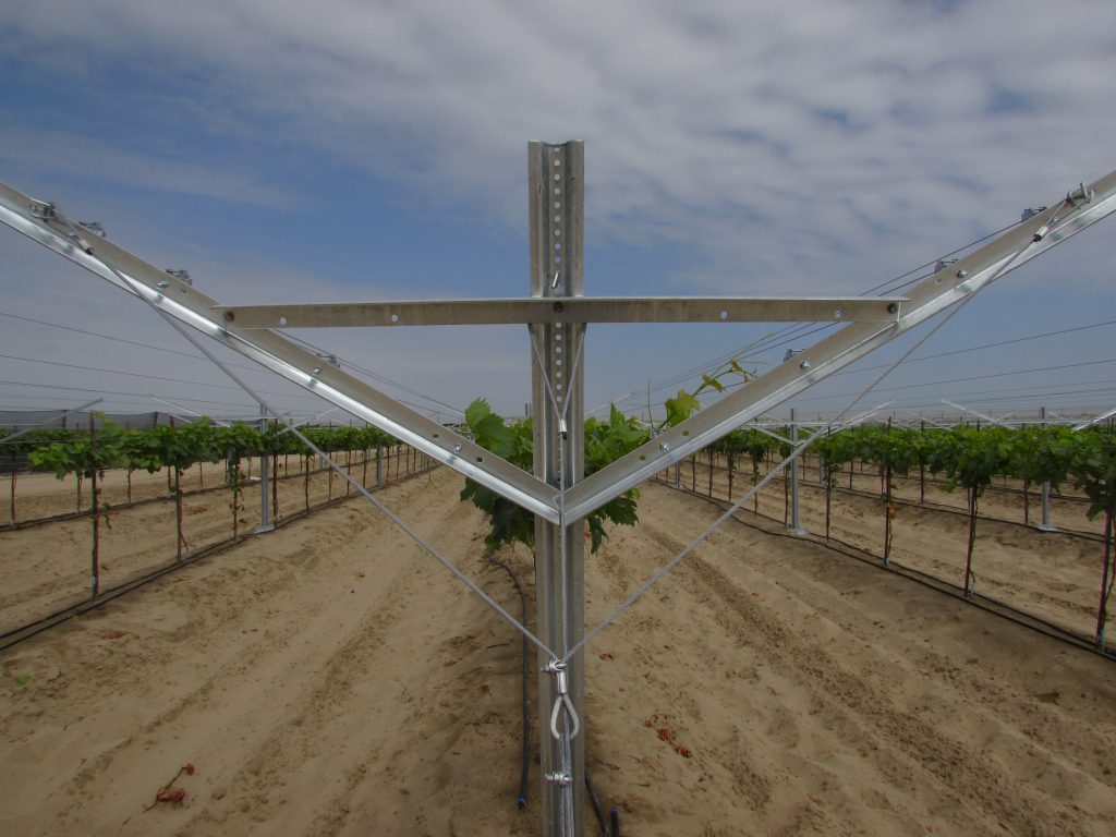 Open Gable Trellis System – Agronegocios Genesis